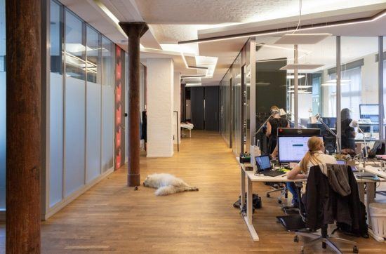 Firmenprofil von BCG Digital Ventures auf Digitale Leute